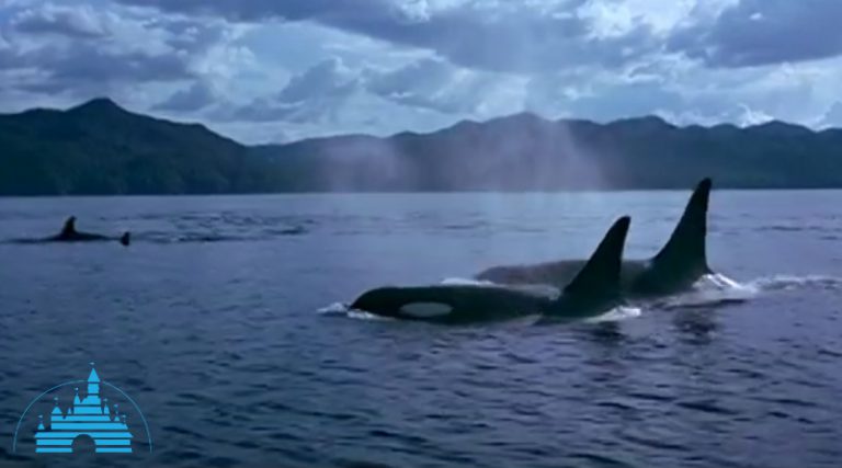 Sacred planet - Disney plus Nederland