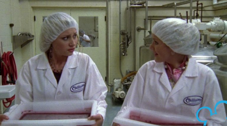 Cow belles - Disney plus Nederland