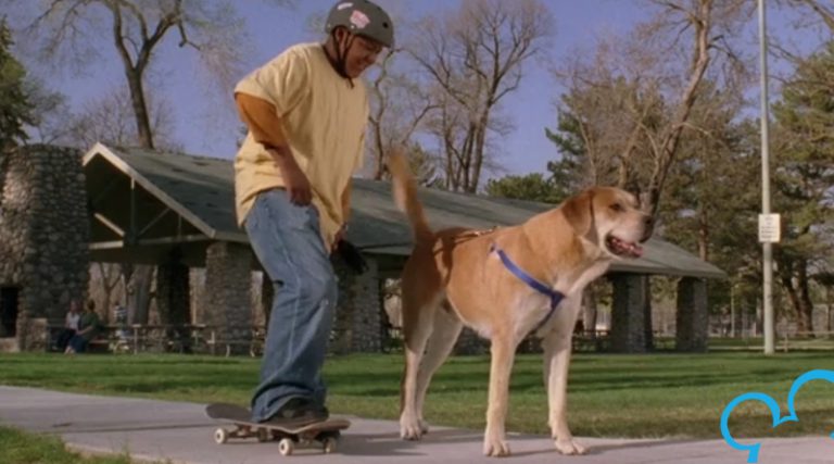 Life is Ruff - Disney plus Nederland